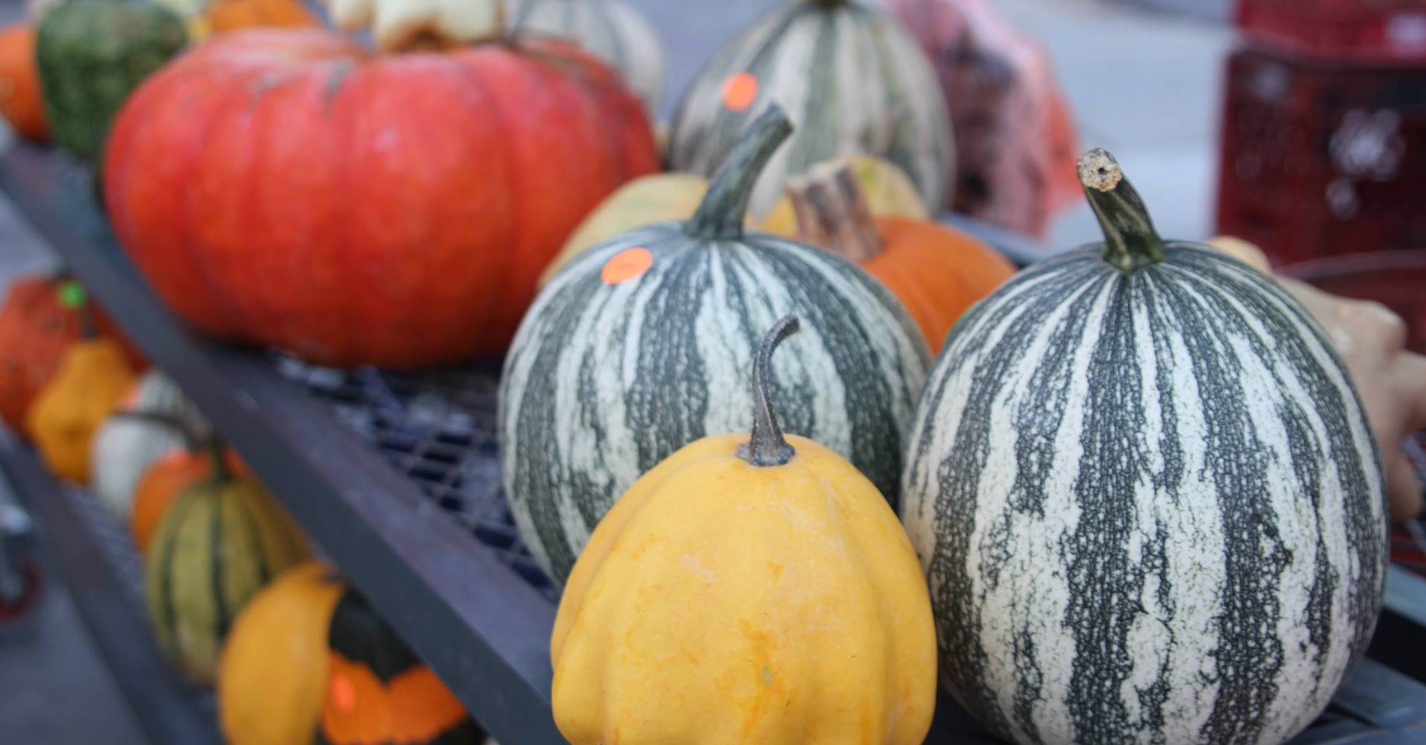 Ways To Enjoy Fall In Downtown Des Moines - 2021