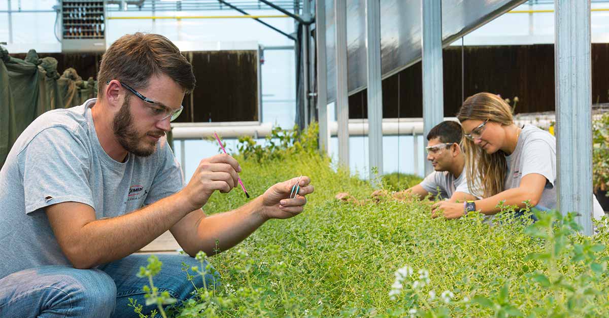 Greater Des Moines (DSM) to Host the 2019 BIO World Congress