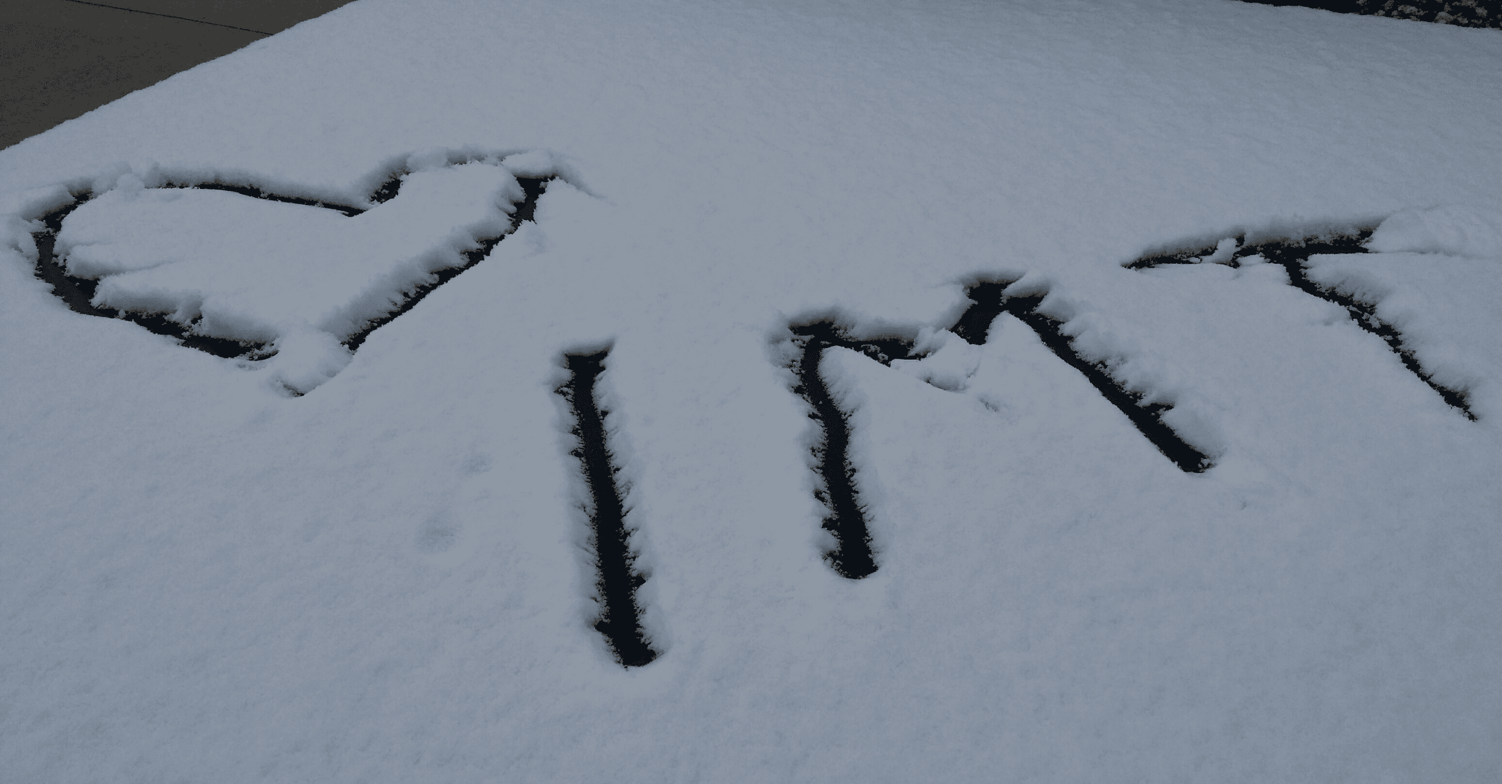 IMT Insurance Focuses on Creating Connection During Crisis